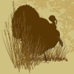 Wild Turkey | Single Tile Designs | Designers Choice Tile