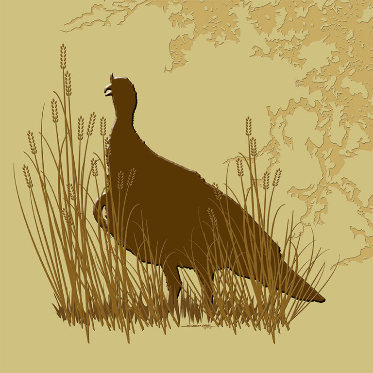 Wild Turkey | Single Tile Designs | Designers Choice Tile
